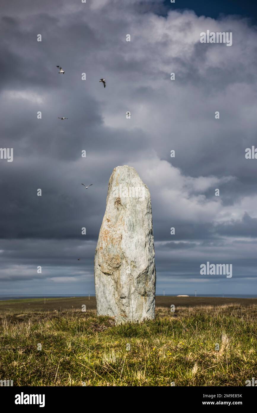 Prehistoric standing stone block, megalith, Uyeasound, Unst, Shetland ...