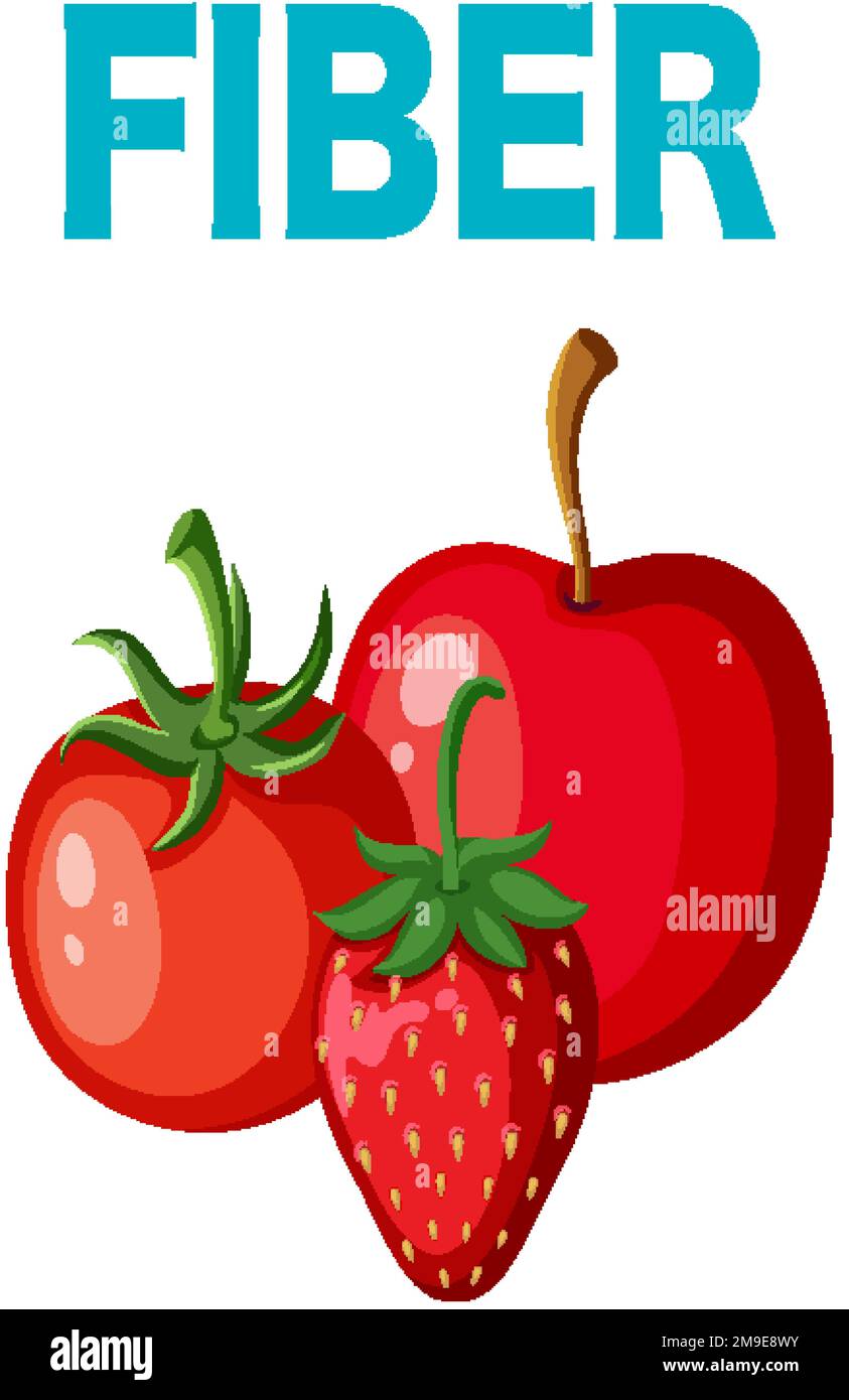 Variety of fiber foods illustration Stock Vector Image & Art - Alamy