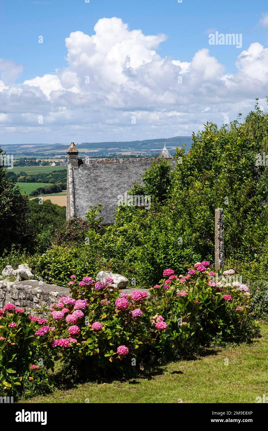 Hydrangeas in a garden in Locronan, awarded as one of the most ...
