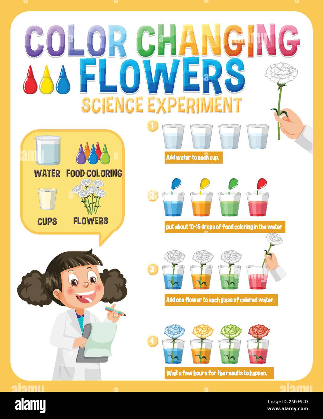 Color Changing Flowers Science Experiment illustration Stock Vector ...