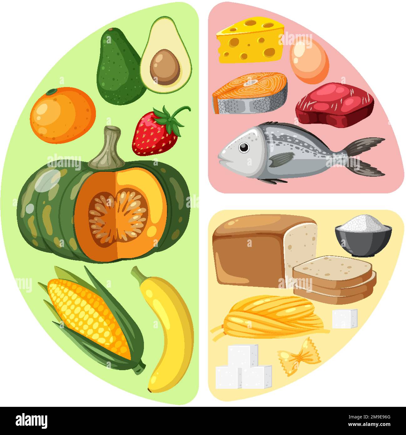 Main food groups macronutrients vector illustration Stock Vector Image ...