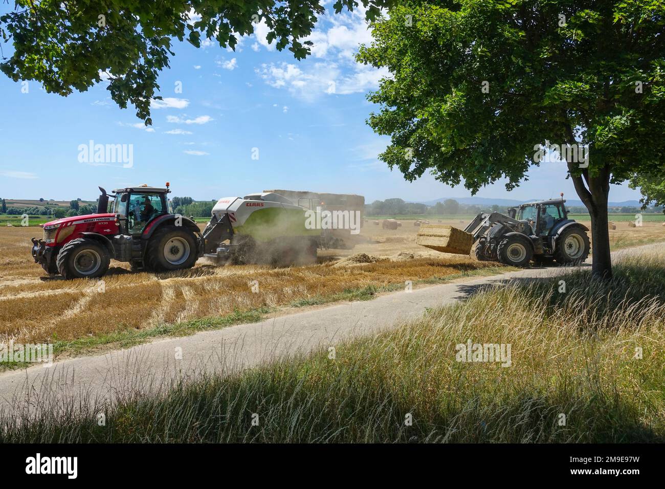 Grain harvest with tractors, baling and loading of hay bales, near ...