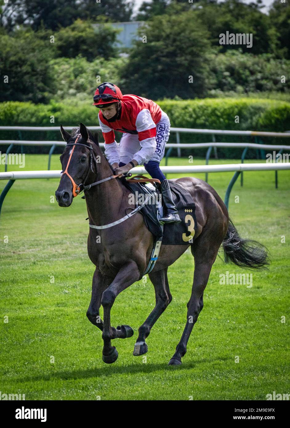 Man at horse races hi-res stock photography and images - Alamy