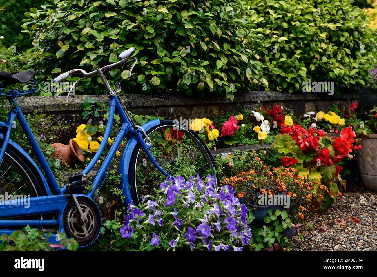 Dsplay hi-res stock photography and images - Alamy