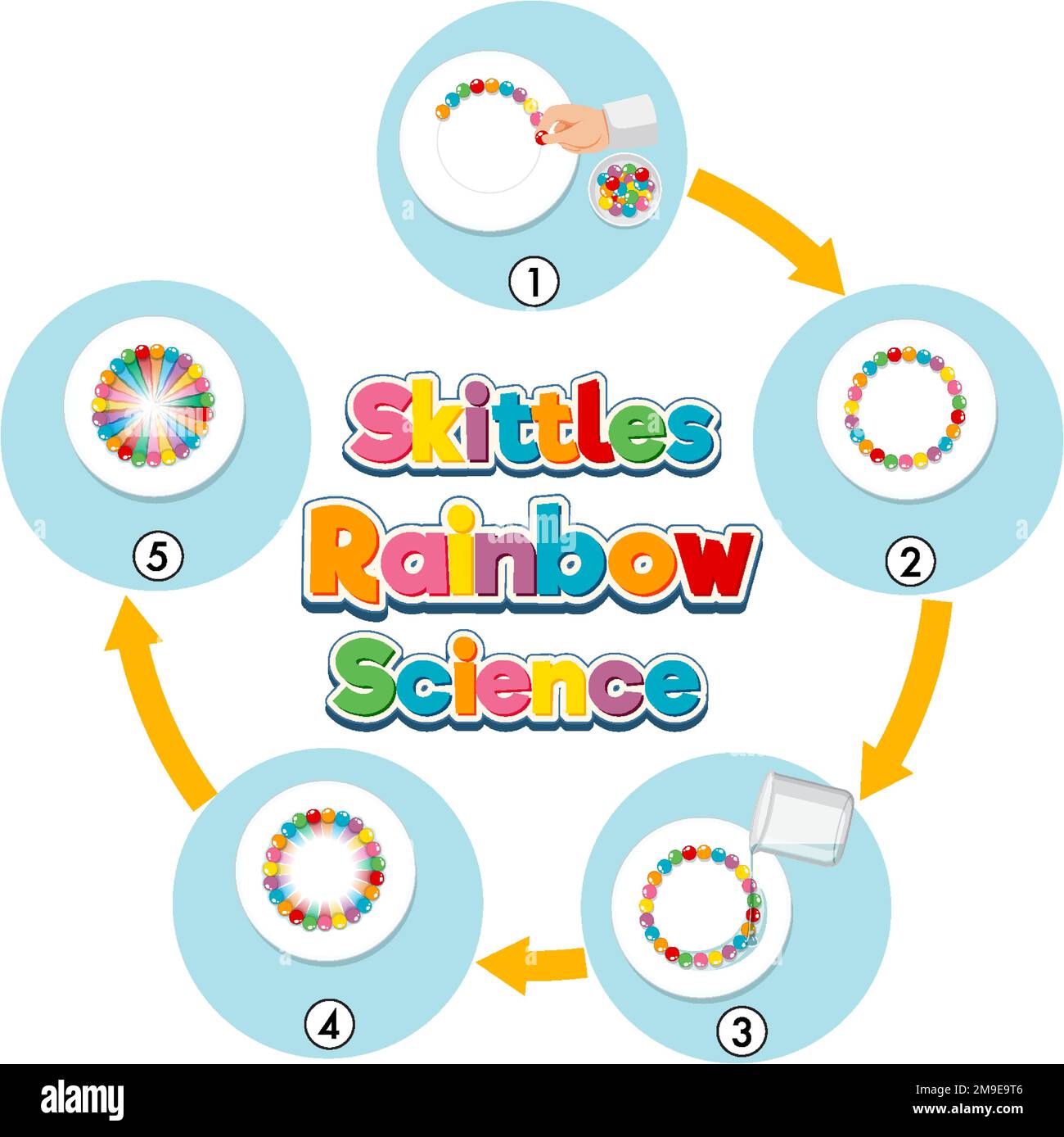 Rainbow skittles science experiment illustration Stock Vector Image ...