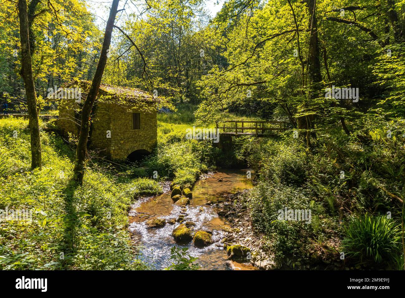 Incredible natural views in the Pagoeta park in Aia, Guipuzcoa, Basque ...