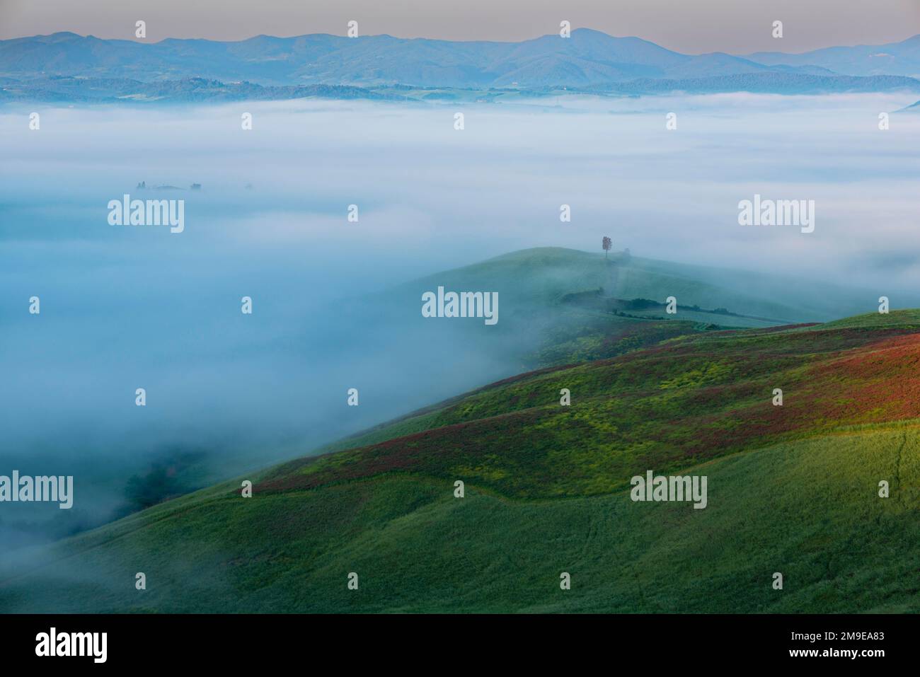 Landscape at sunrise around Volterra, province of Pisa, Tuscany, Italy ...