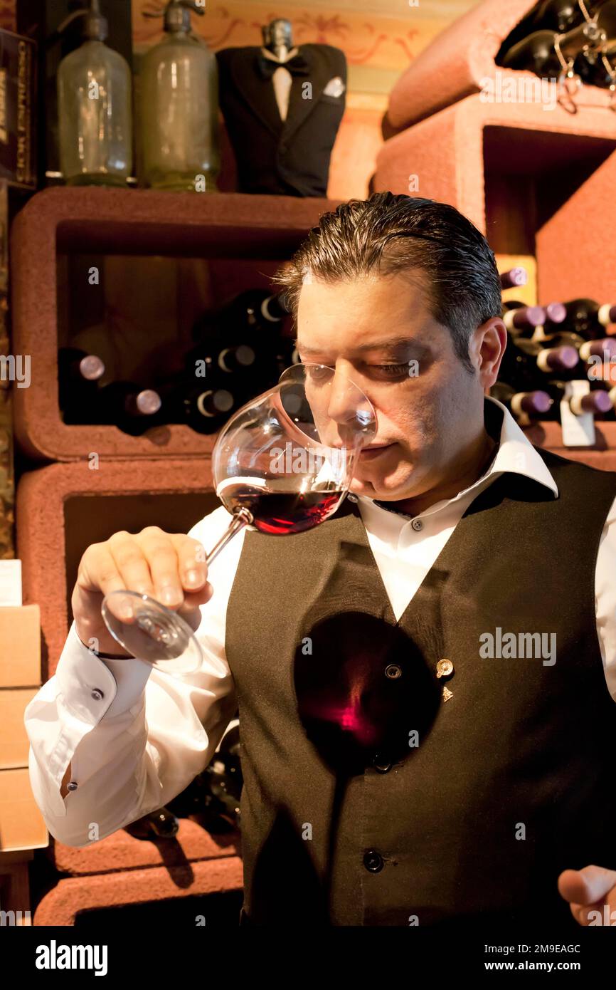 SOMMELIER, WINE Tasting, WINE COLOURING, Bavaria, MITTENWALD Stock ...