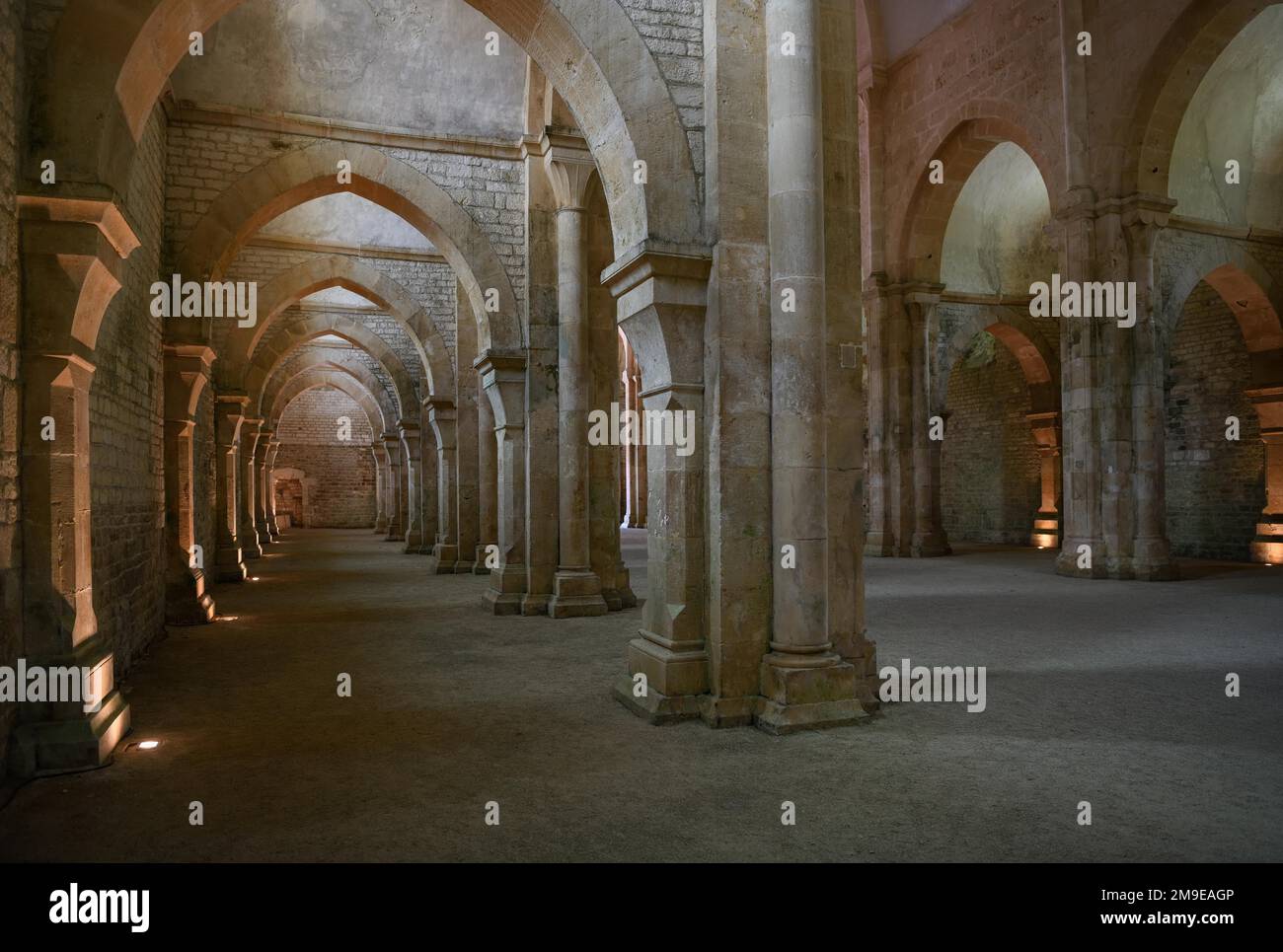 Nave of the Cistercian Abbey of Fontenay, Unesco World Heritage Site ...