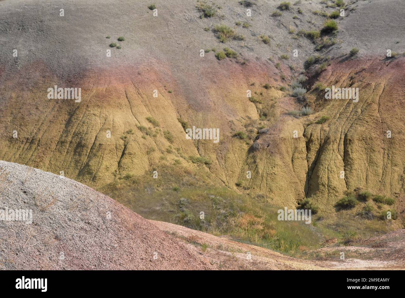 Rolling yellow mounds in the Badlands of South Dakota landscape Stock ...