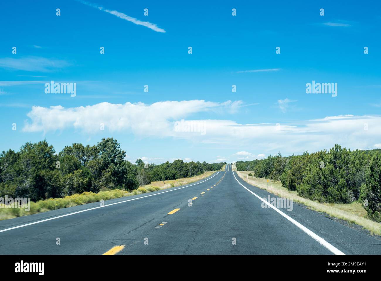 A straight asphalt road with trees on both sides Stock Photo - Alamy