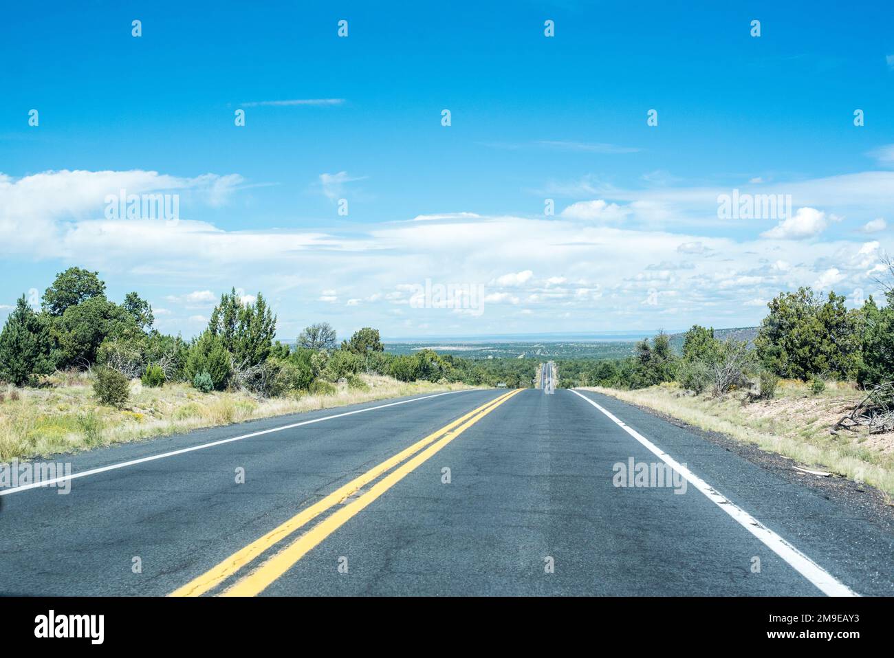 A straight asphalt road with a cloudy sky on the horizon Stock Photo ...