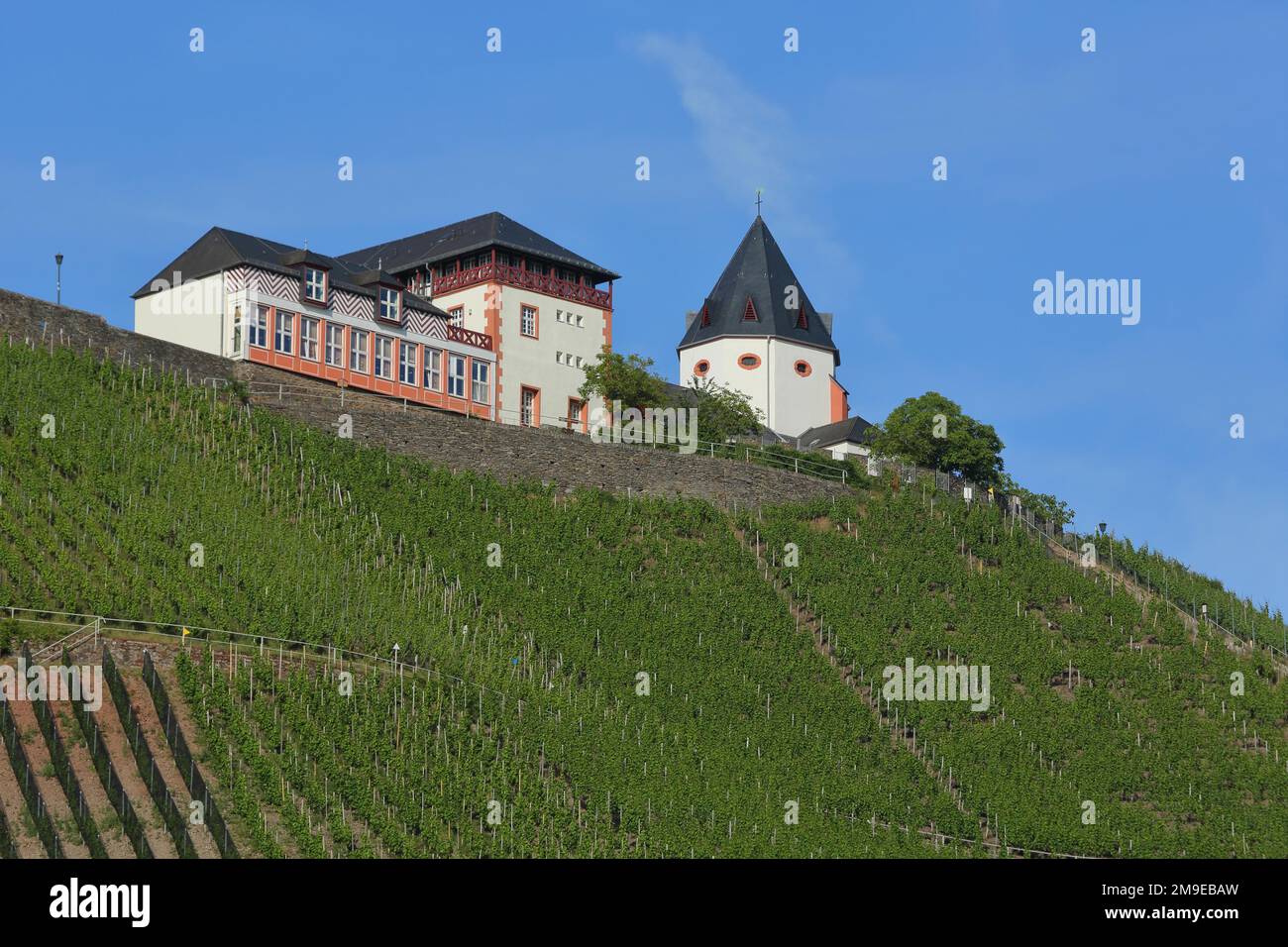 Marienburg above the vineyards near Puenderich, Moselle, Lower Moselle ...