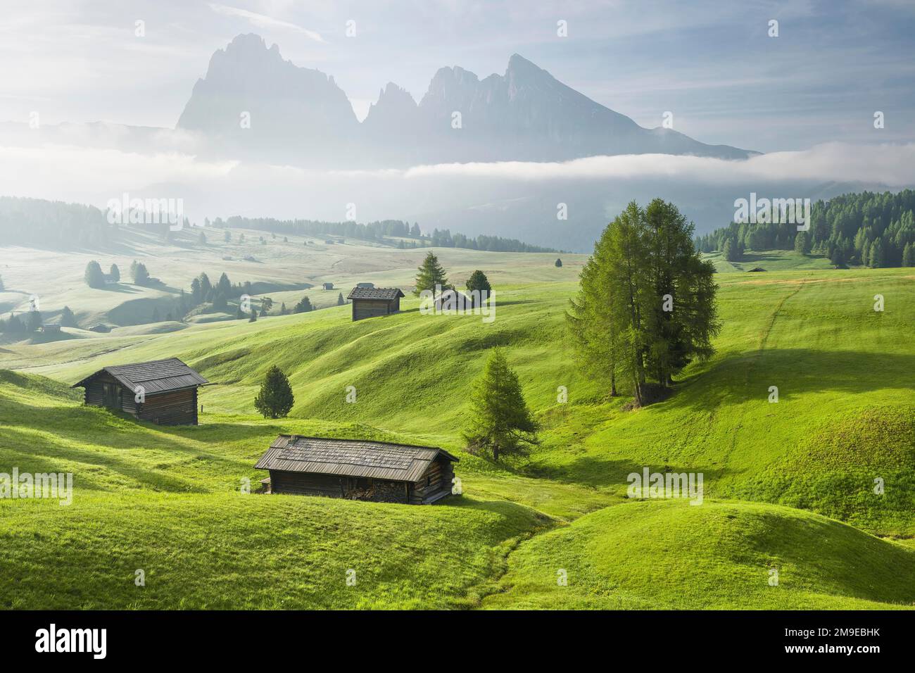 Alpine huts on green pastures in front of mountains, Langkofel and ...