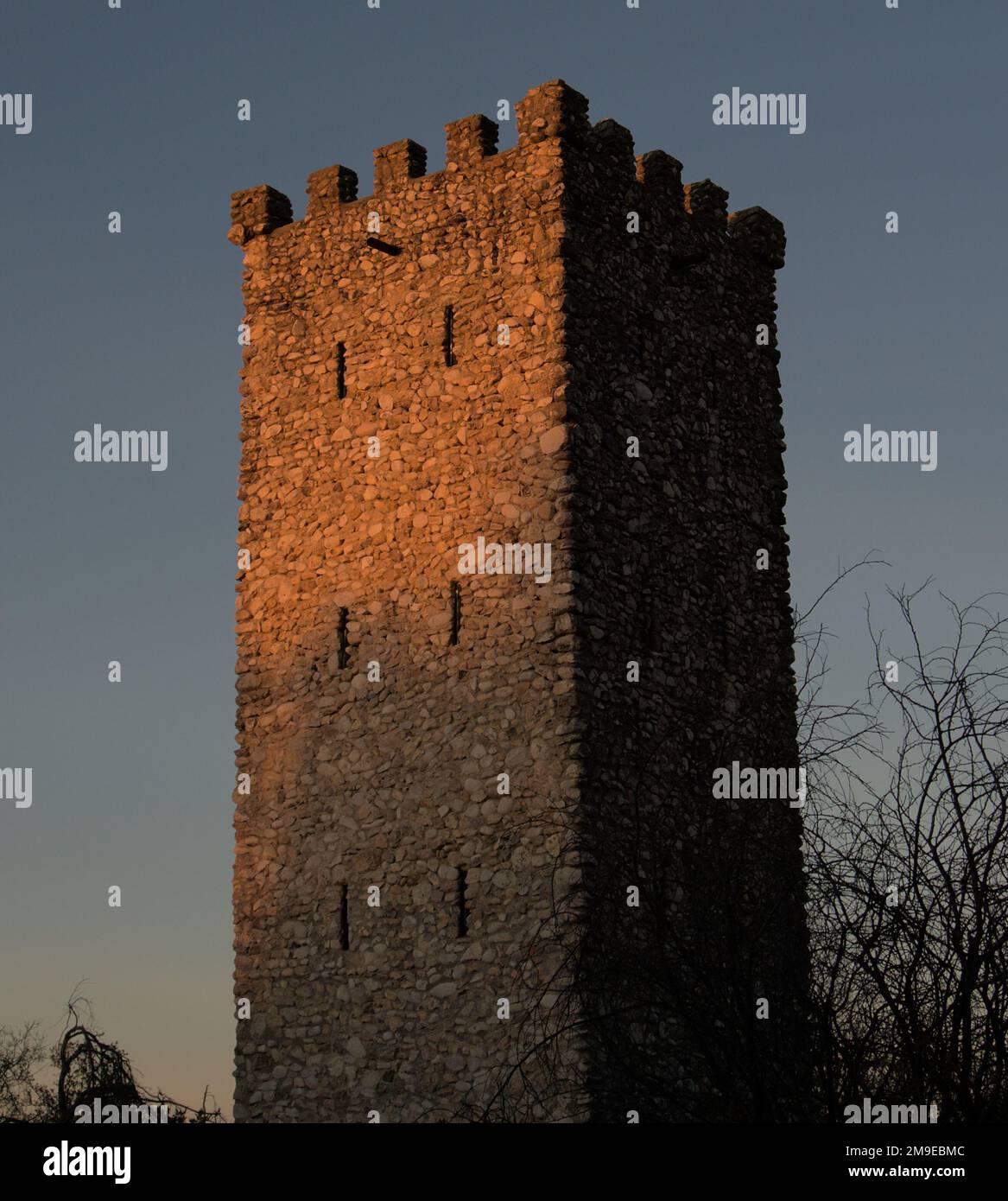 tower in the middle of the woods Stock Photo - Alamy
