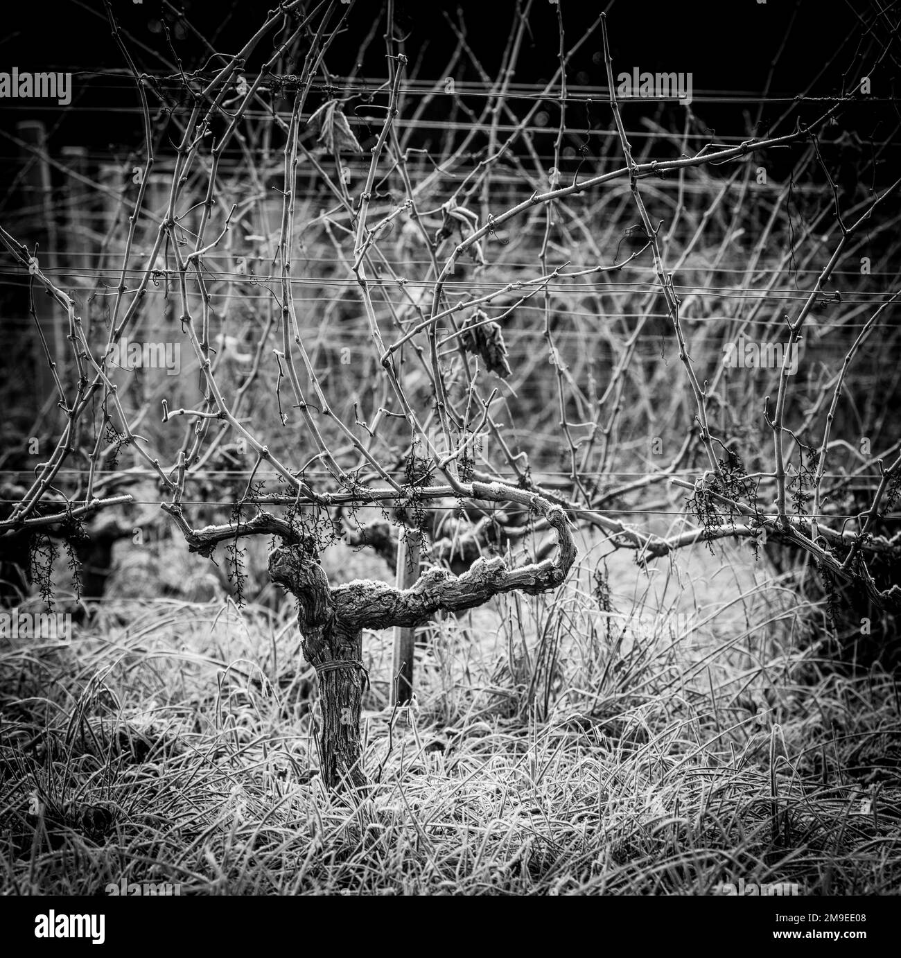 Aerial view winter rural landscape Black and White Stock Photos ...