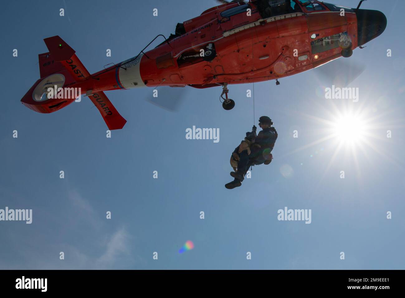 Coast Guard Marine Safety and Security Team Houston K9 Simba and his ...