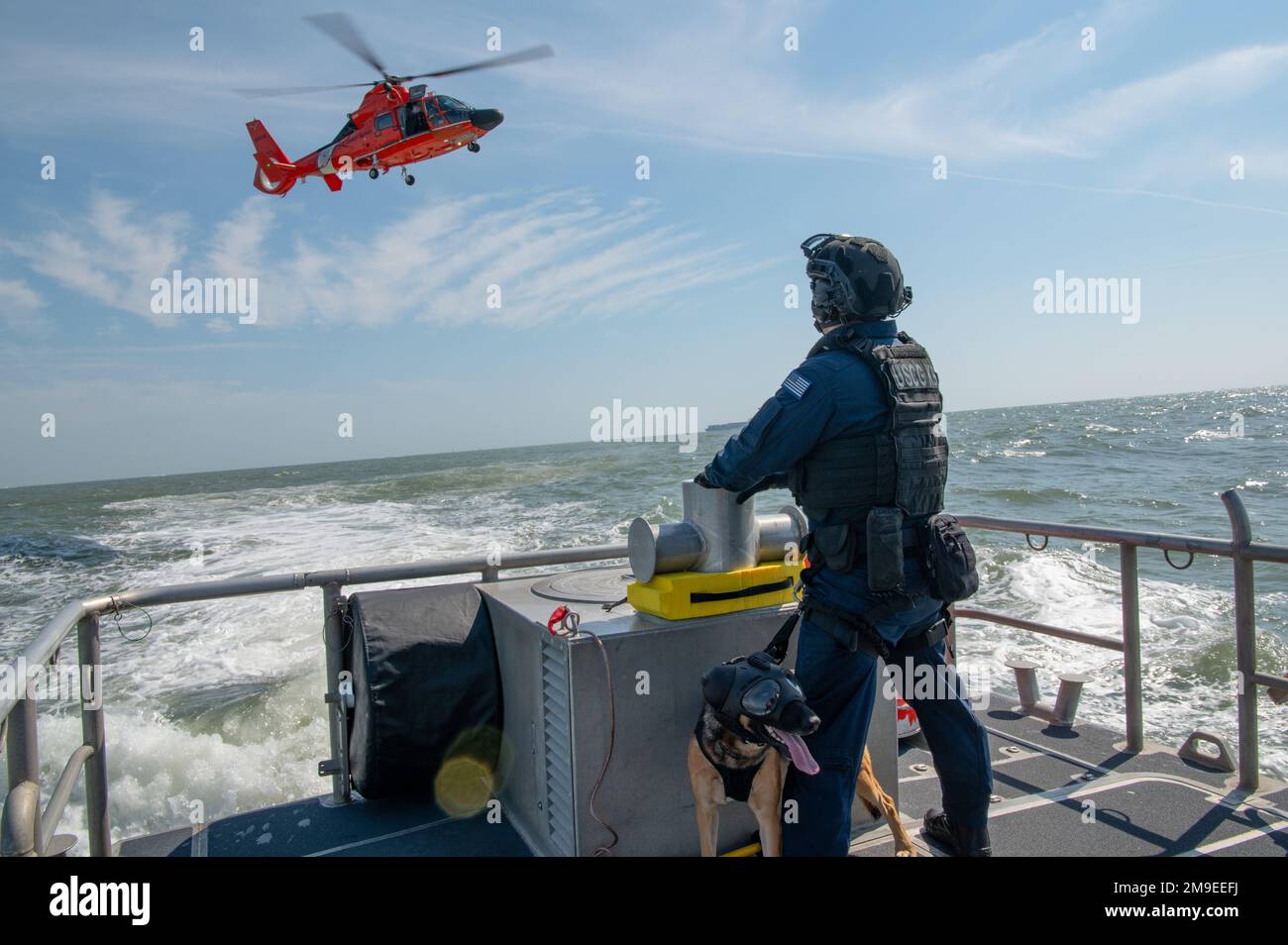 Coast Guard Marine Safety and Security Team Houston K9 Simba and his ...