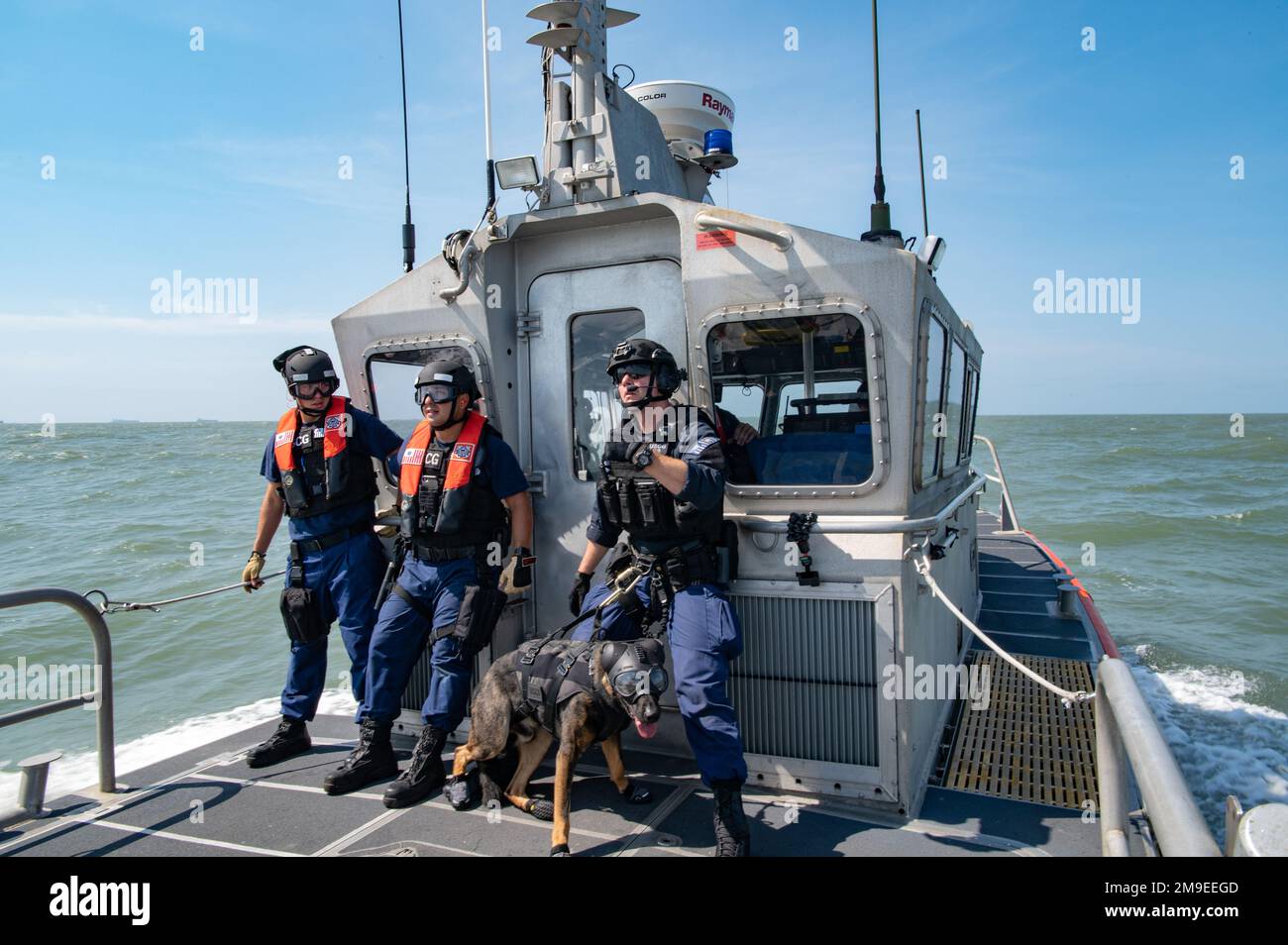 Coast Guard Marine Safety and Security Team Houston K9 Simba and his ...