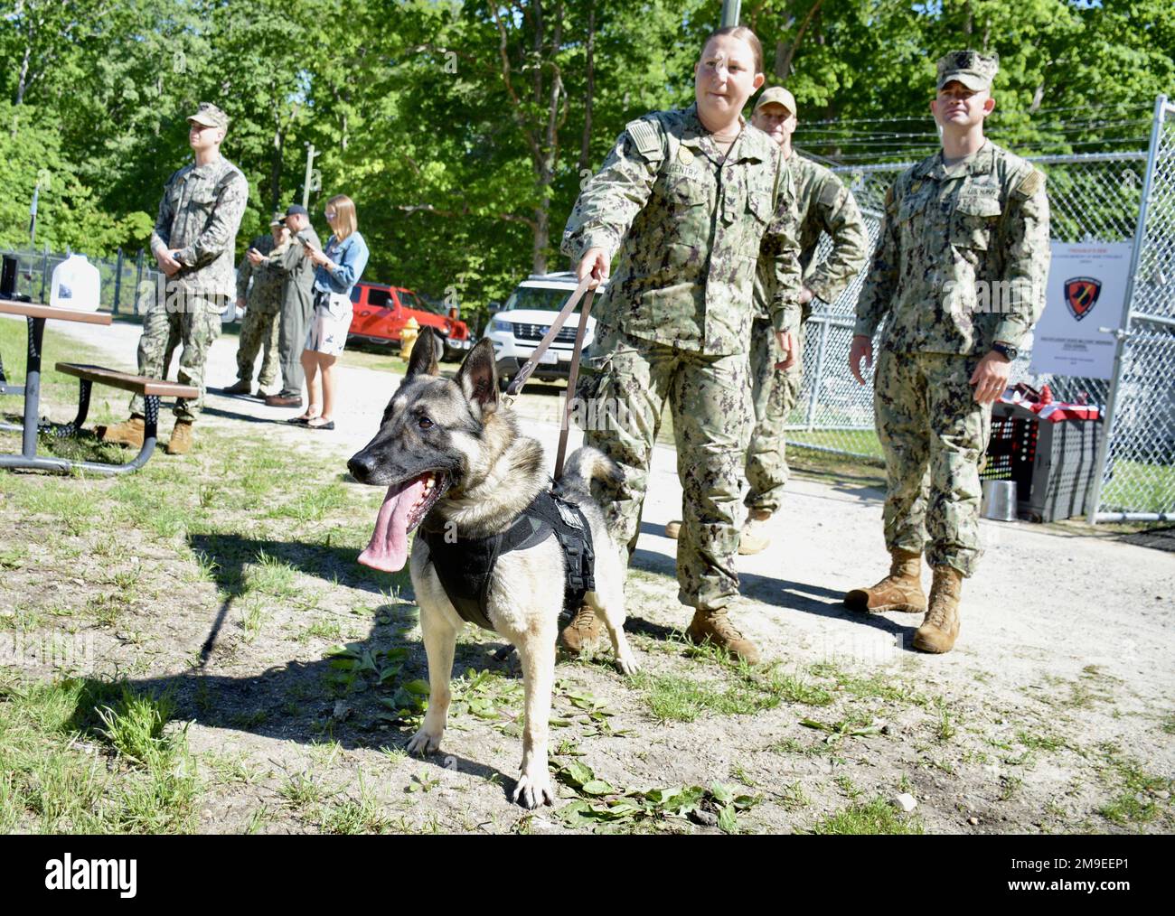NAS PATUXENT RIVER, Maryland (May 18, 2022) - Master-at-Arms 2nd Class ...