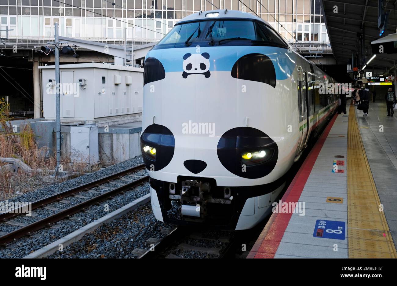 Panda kuroshio hi-res stock photography and images - Alamy