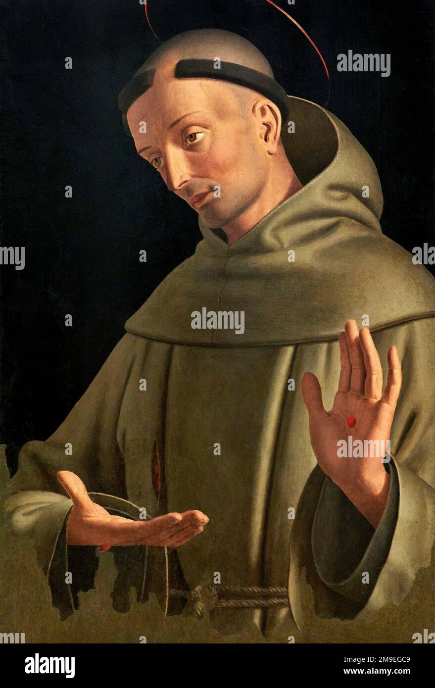 S. Francesco d’ Assisi - olio su tavola - Francesco Morone - primo ...