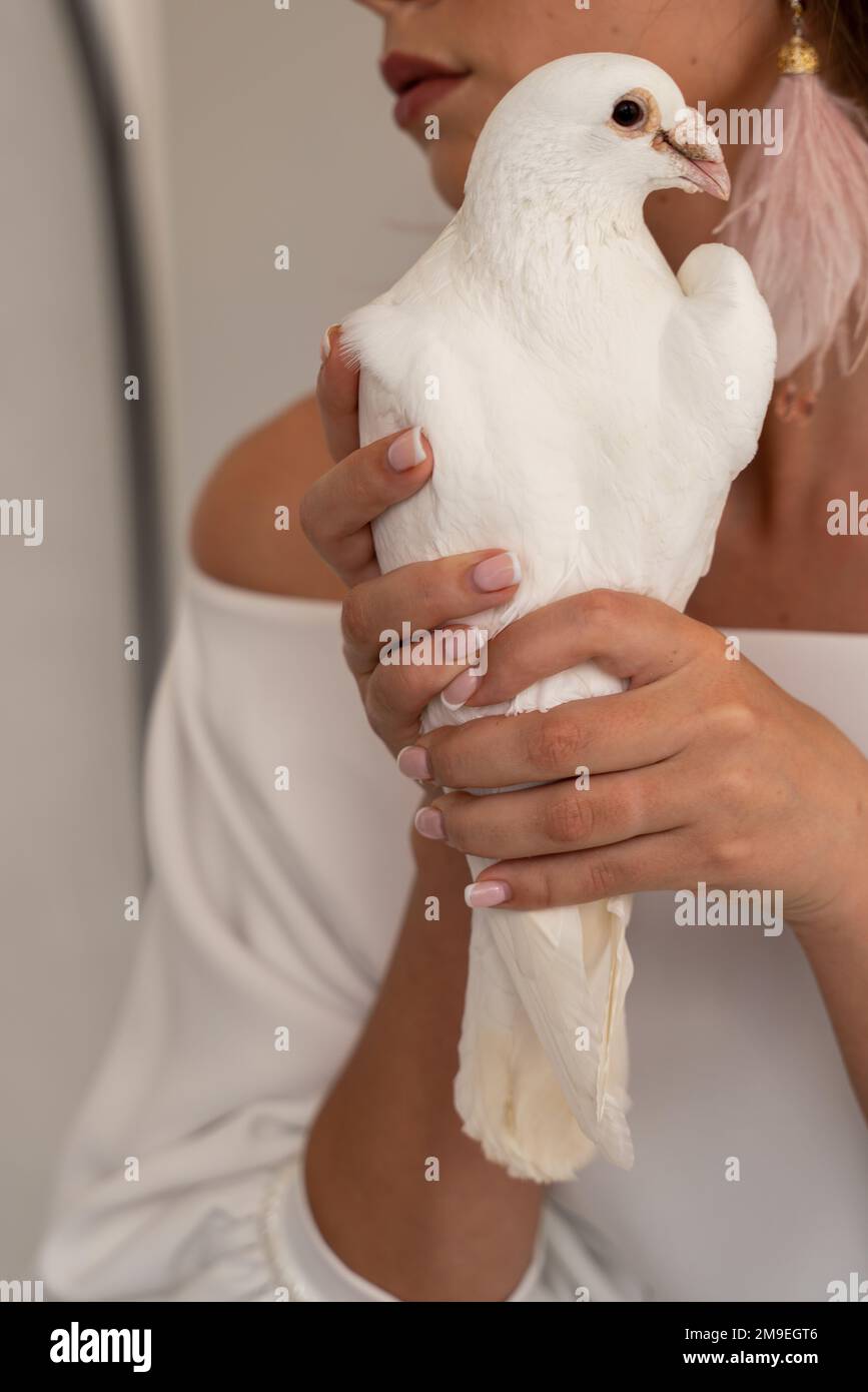 Image of white dove in pretty bride hands Stock Photo - Alamy