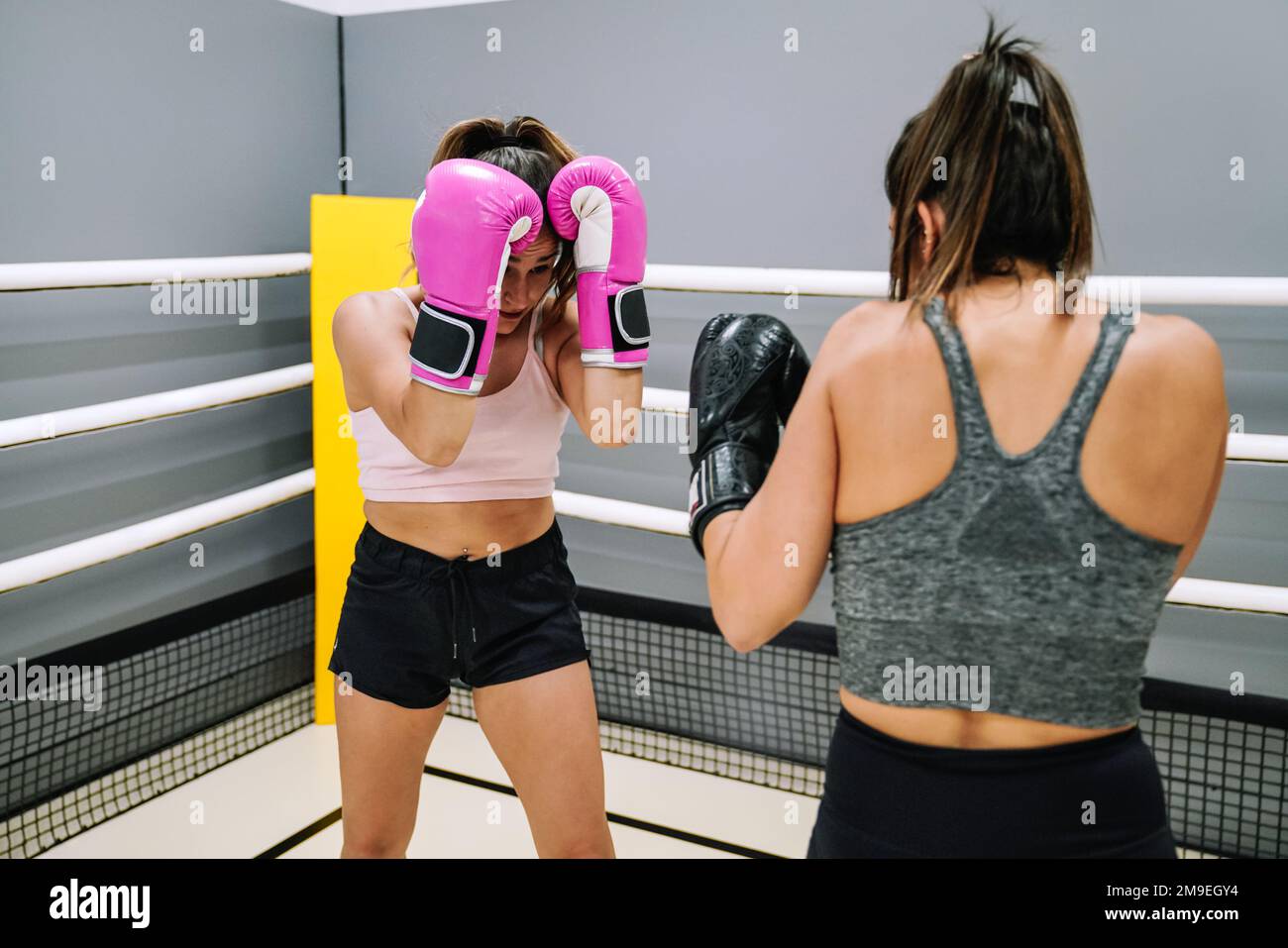 Female boxer in guard position practicing with her partner in the ring ...