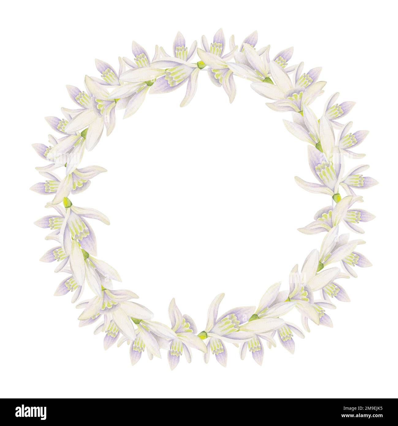 Watercolor hand drawn circle wreath with spring flowers, daffodils ...