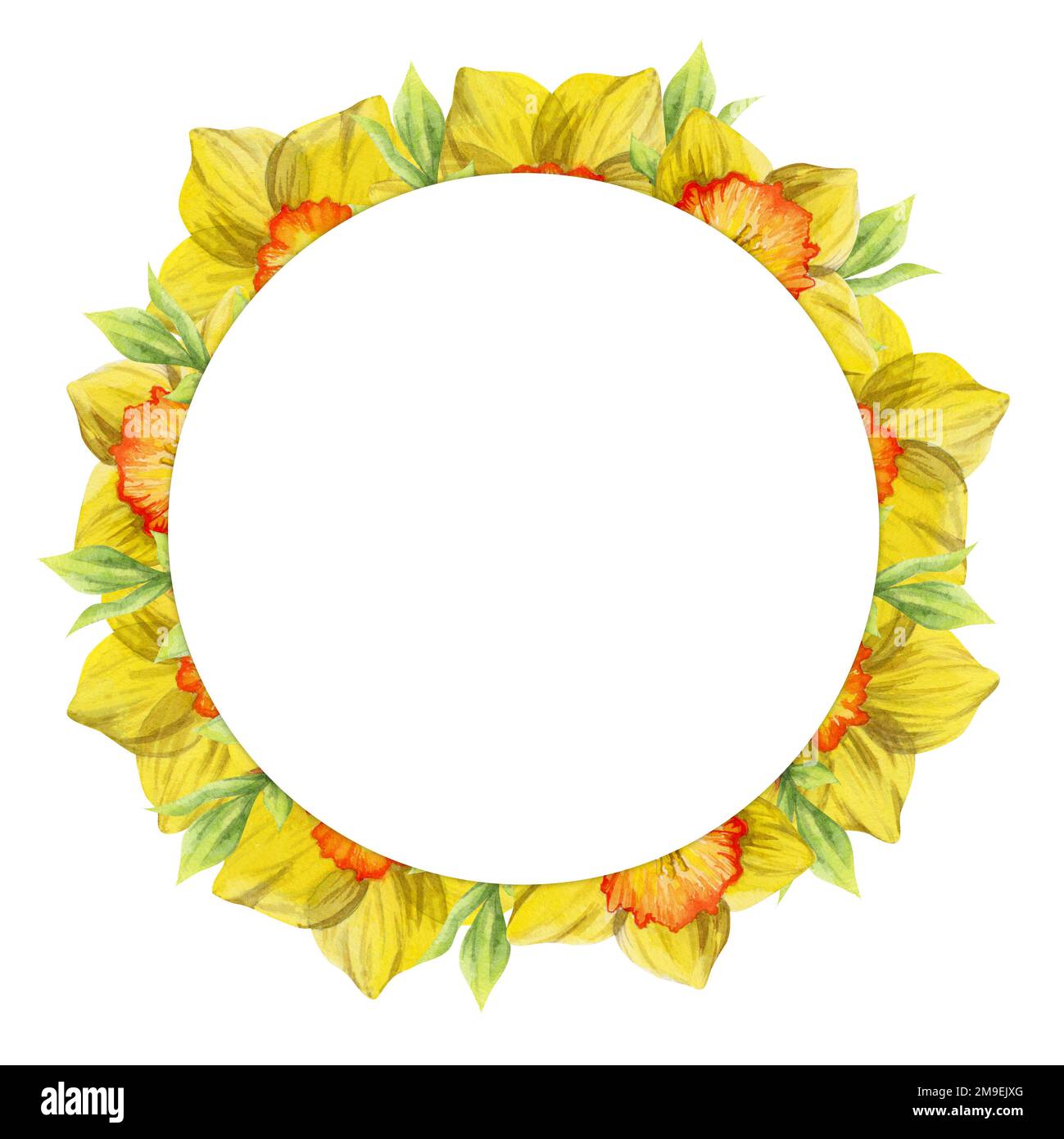 Watercolor hand drawn circle wreath with spring flowers, daffodils ...
