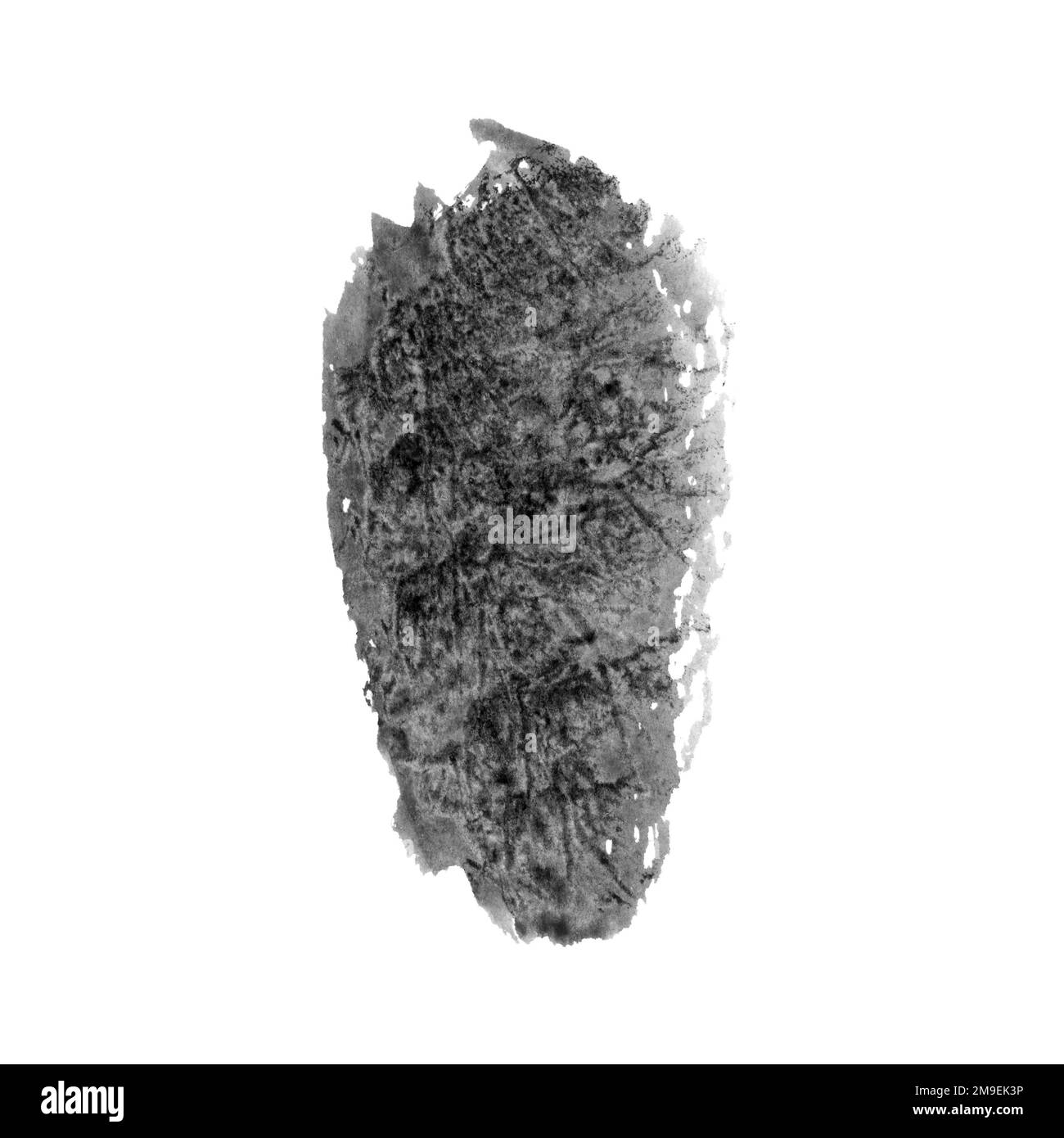 élément aquarelle Black and White Stock Photos & Images - Alamy