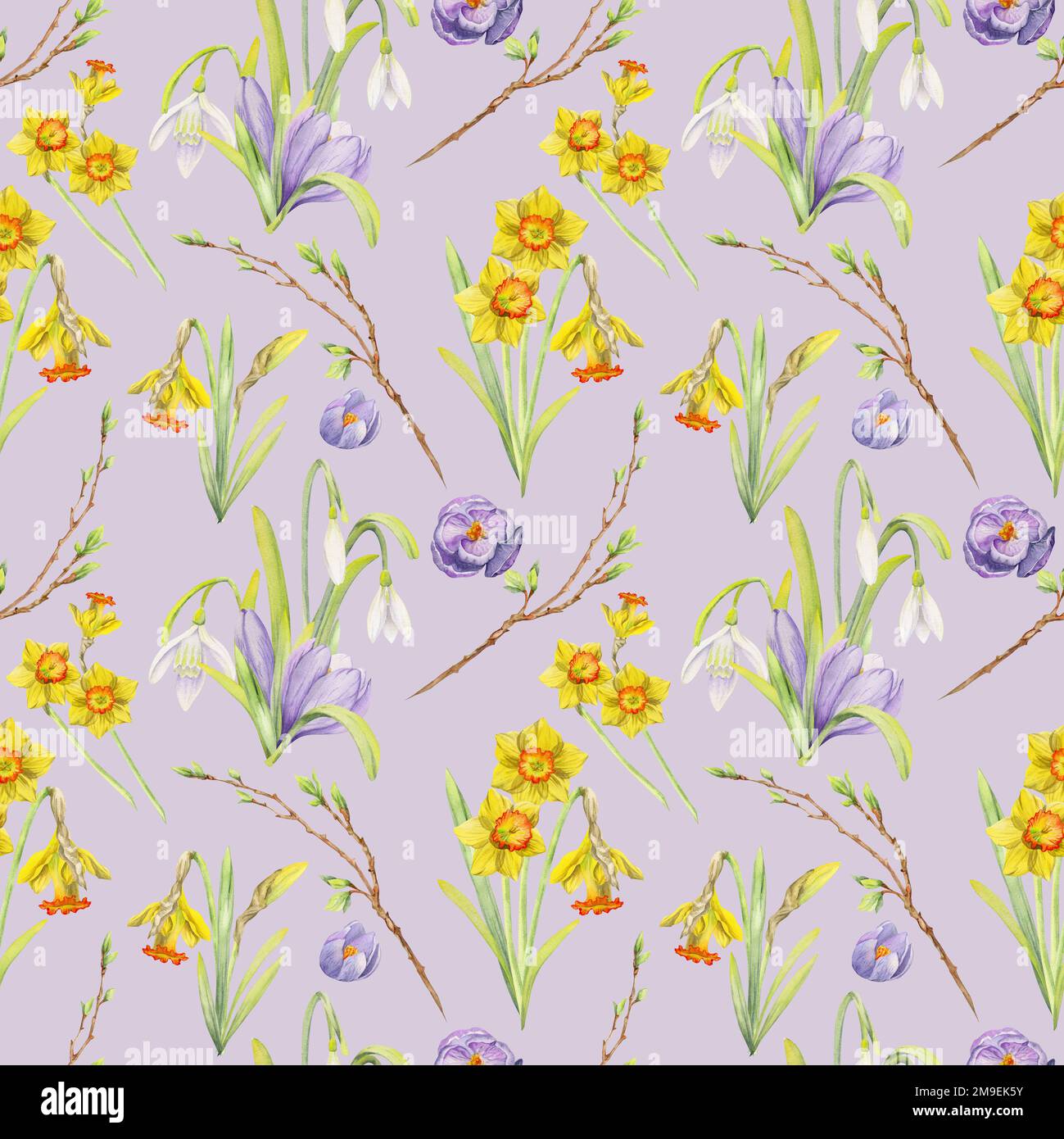 Watercolor hand drawn seamless pattern with spring flowers, daffodils ...