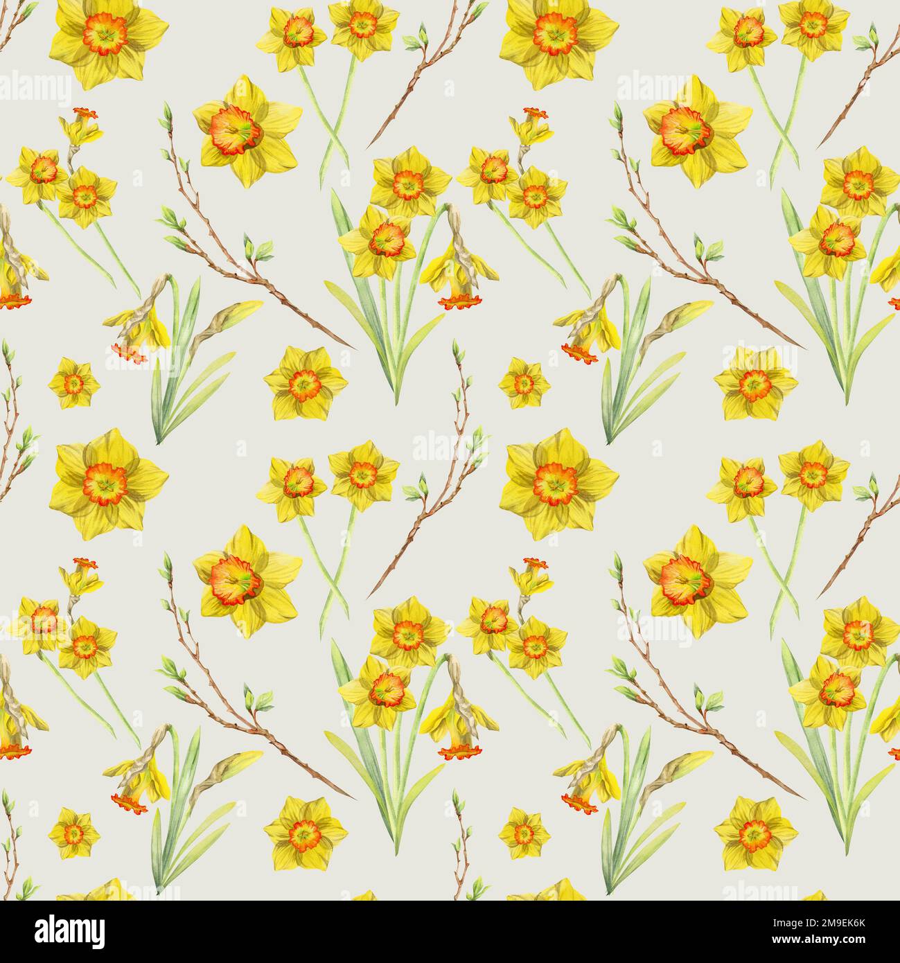 Watercolor hand drawn seamless pattern with spring flowers, daffodils ...