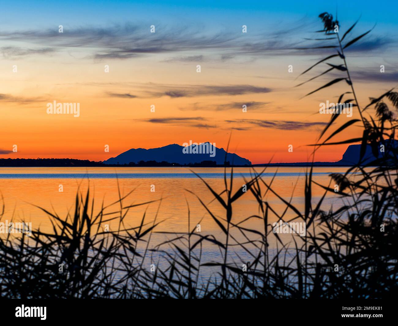 Salt marshes in the "Isole dello Stagnone di Marsala" nature reserve ...