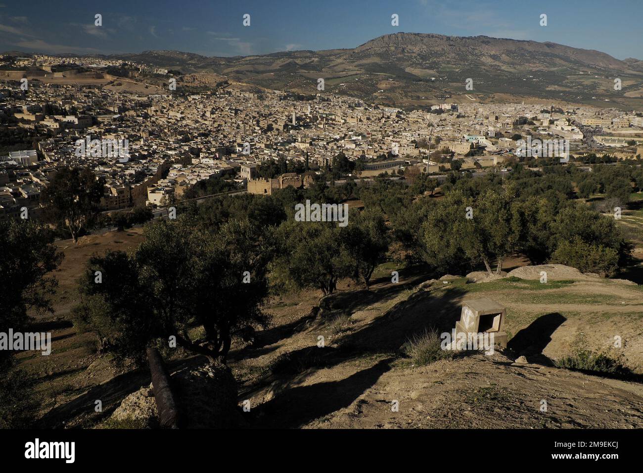 Aerial view of the Fez el Bali medina. Panorama cityscape of the oldest ...