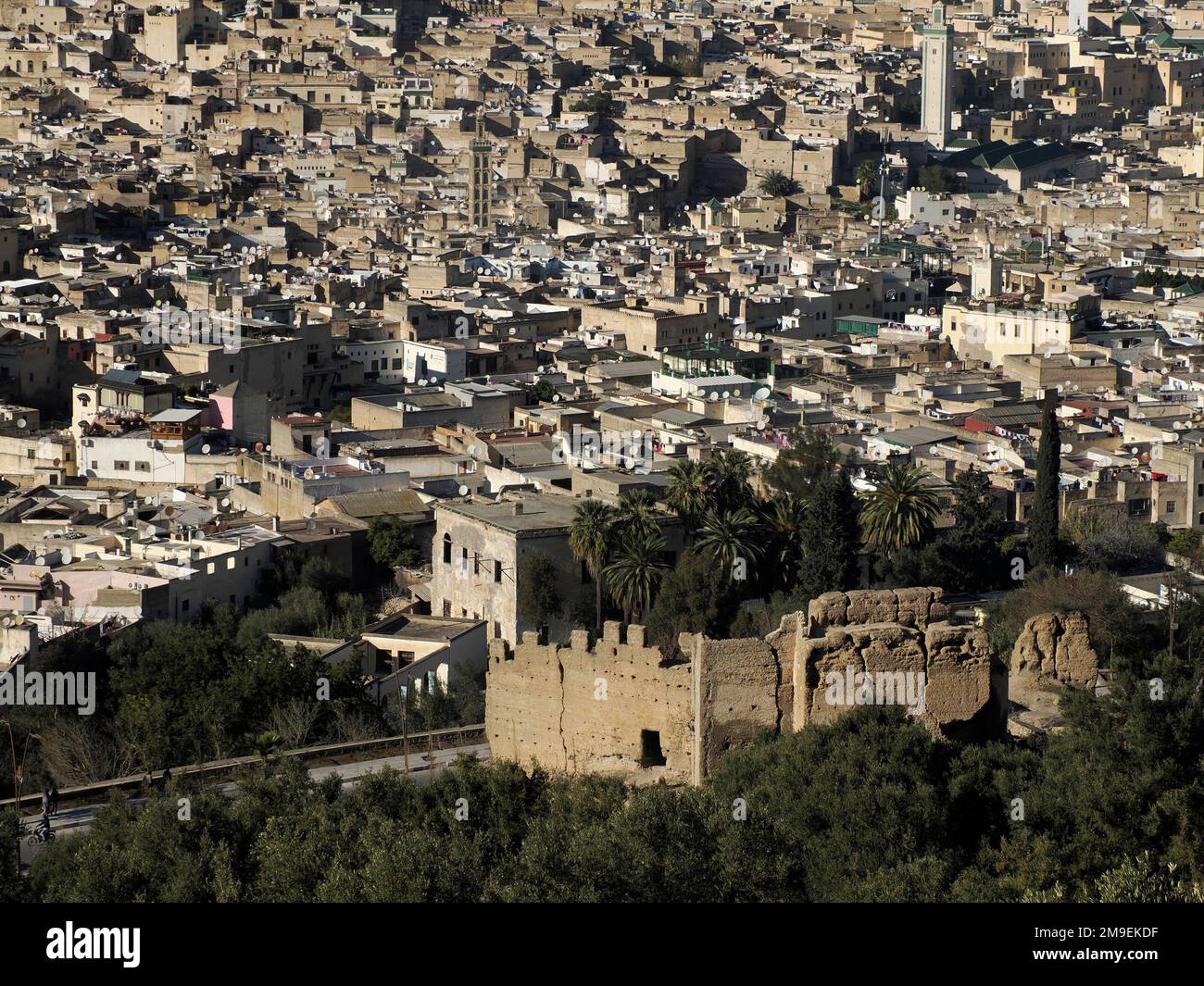 Aerial view of the Fez el Bali medina. Panorama cityscape of the oldest ...