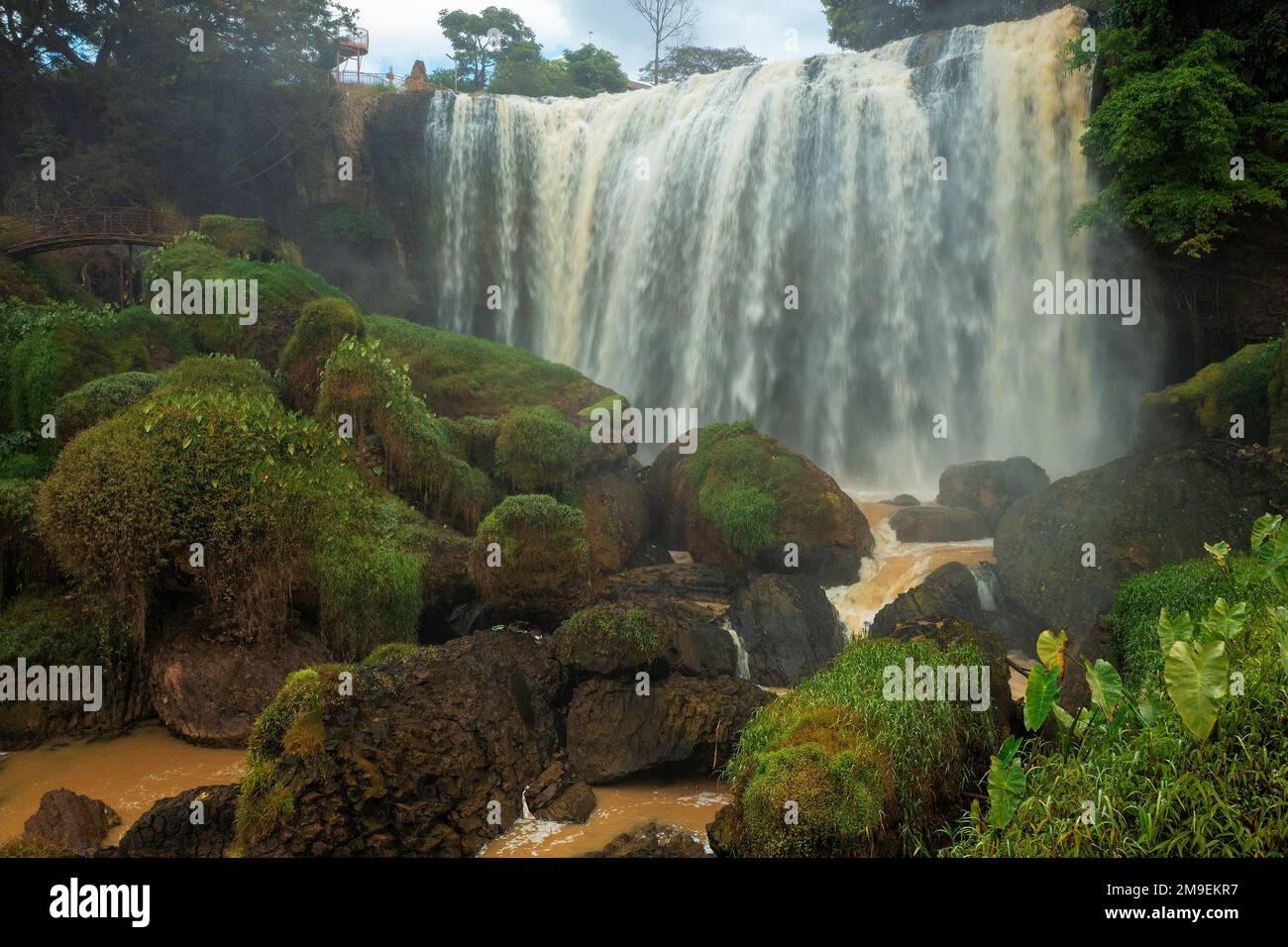 Aerial drone elephant in natural hi-res stock photography and images ...