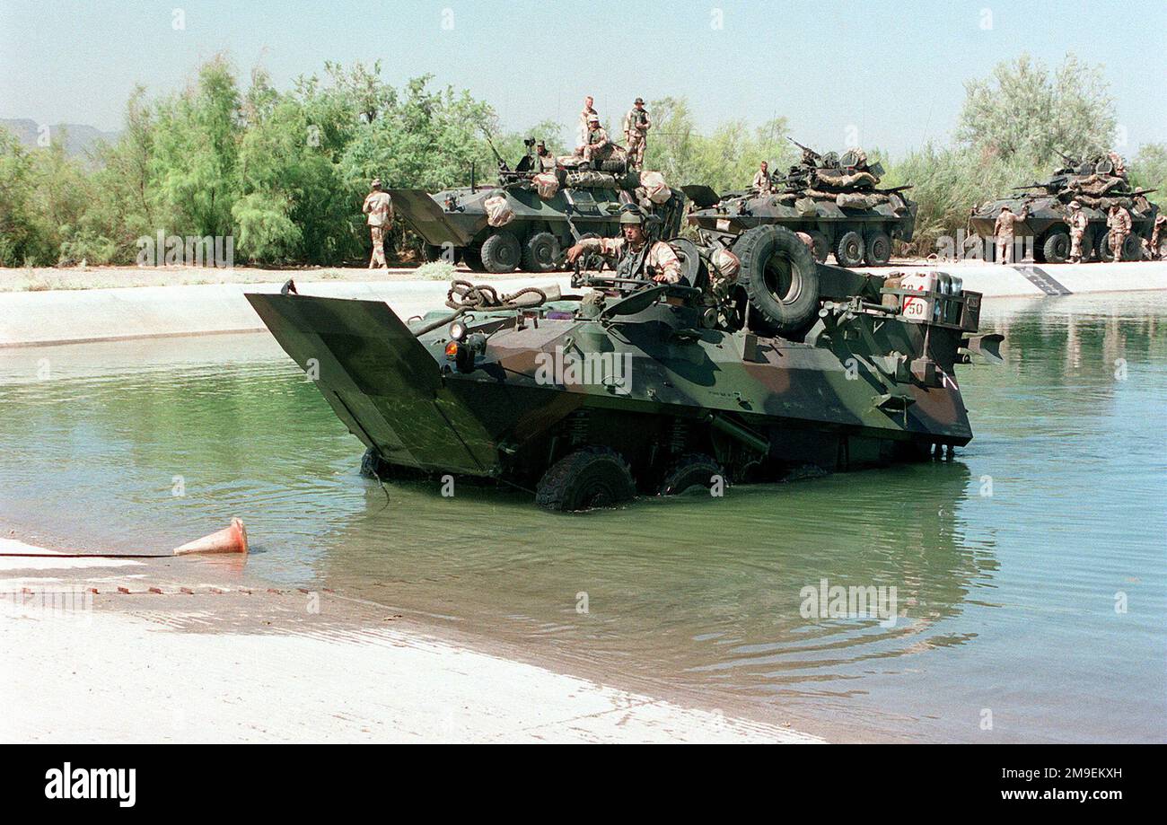 1ST Light Armored Reconnaissance, Delta Company, Light Armored Vehicle ...