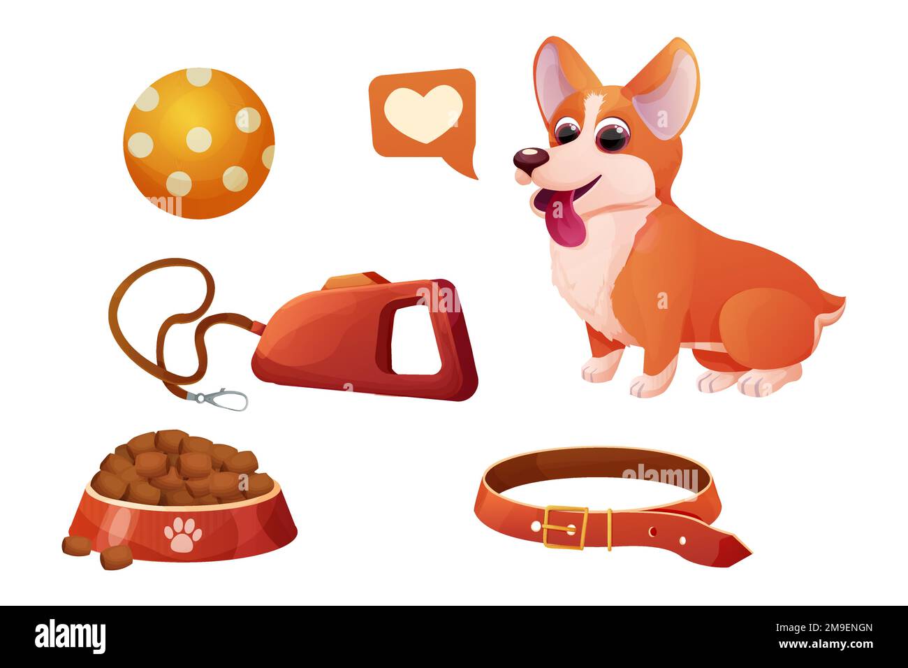 Set accessory corgi dog sitting, adorable pet, bowl with food, leash in ...
