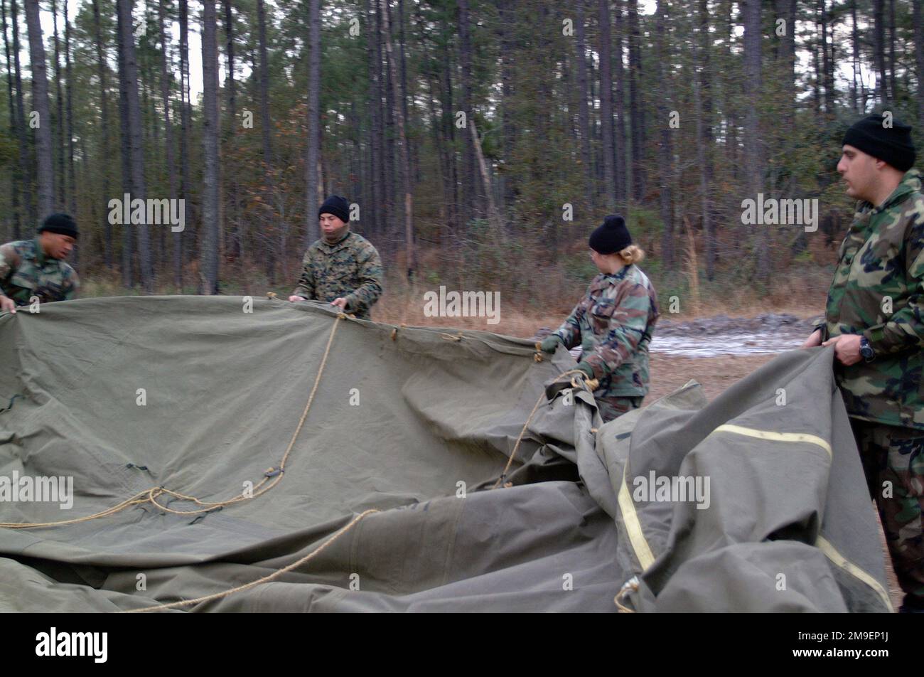 Cssd hi-res stock photography and images - Alamy