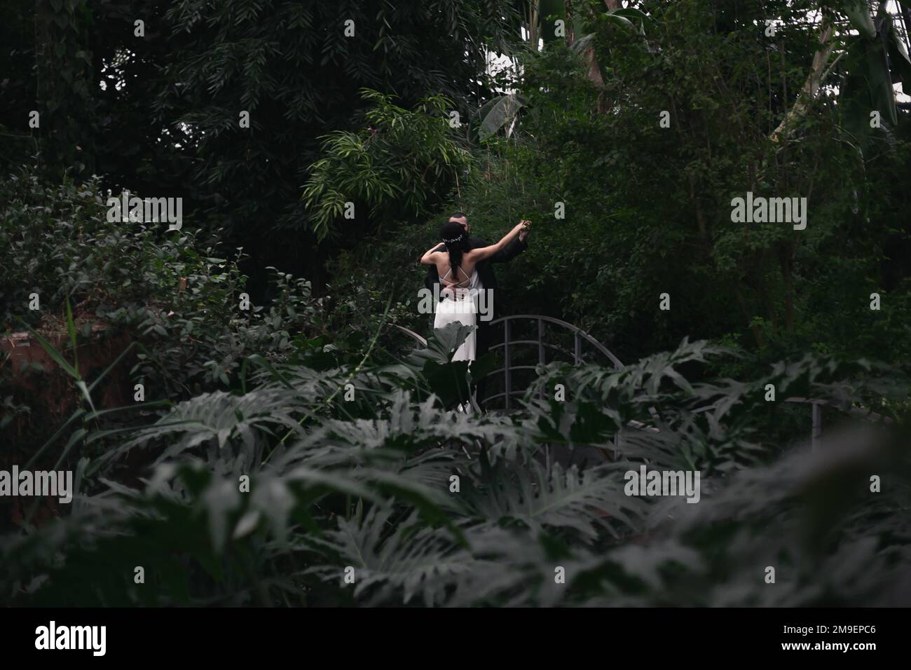 Couple in love dancing on bridge in dark garden scenic photography ...