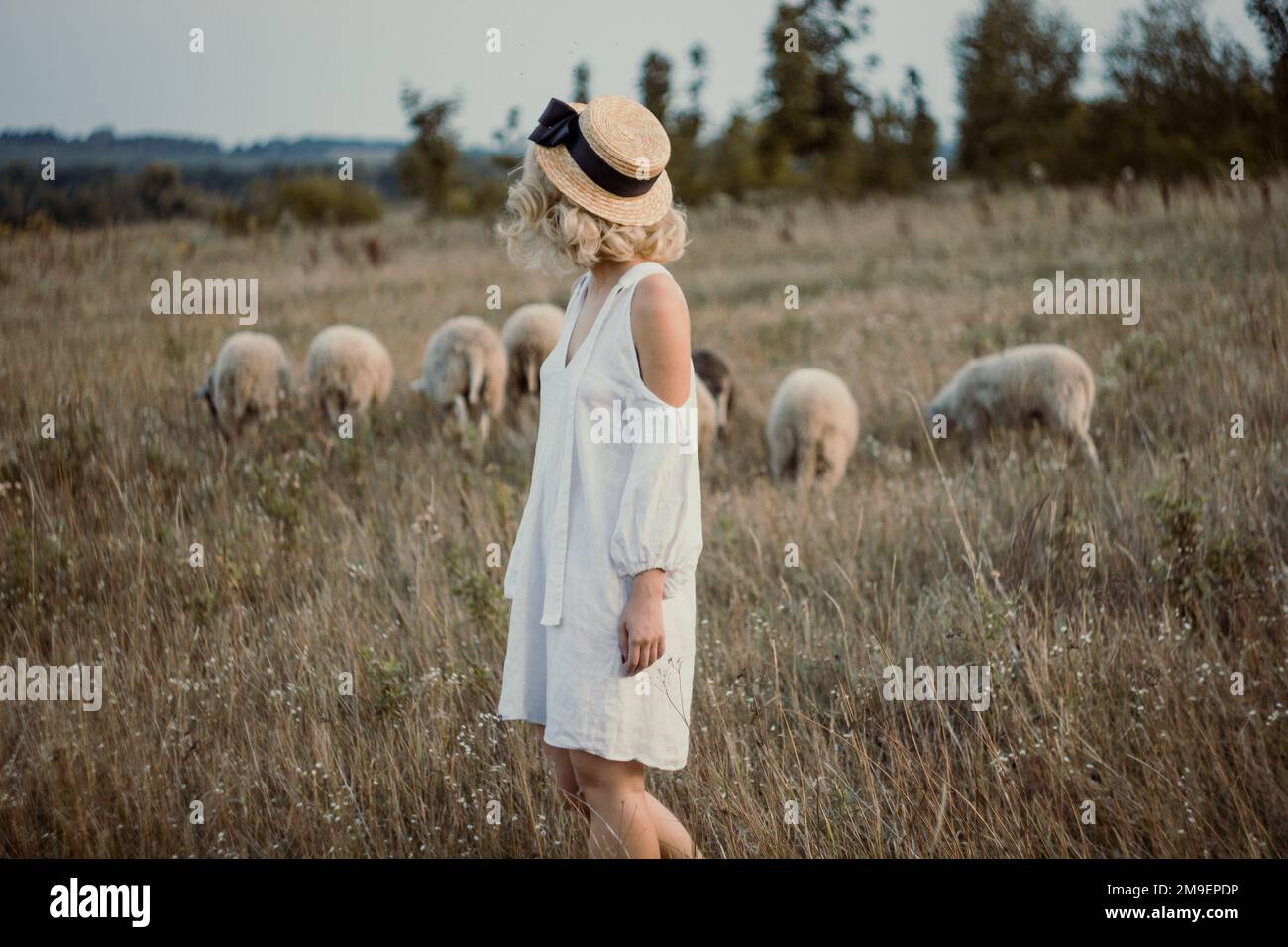 Blond woman looking back at grazing sheep scenic photography Stock ...