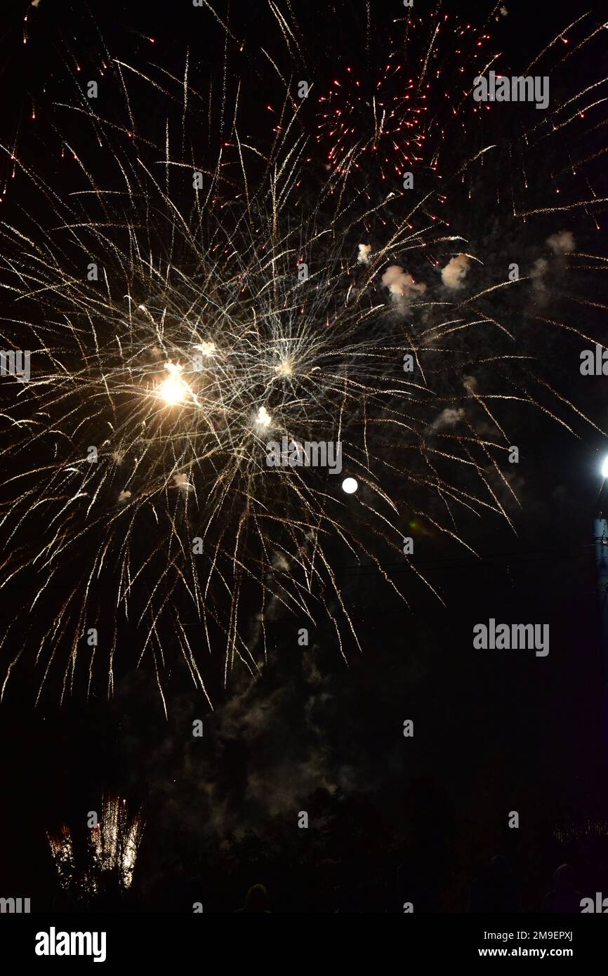 A vertical shot of fireworks illuminating the dark night sky Stock ...
