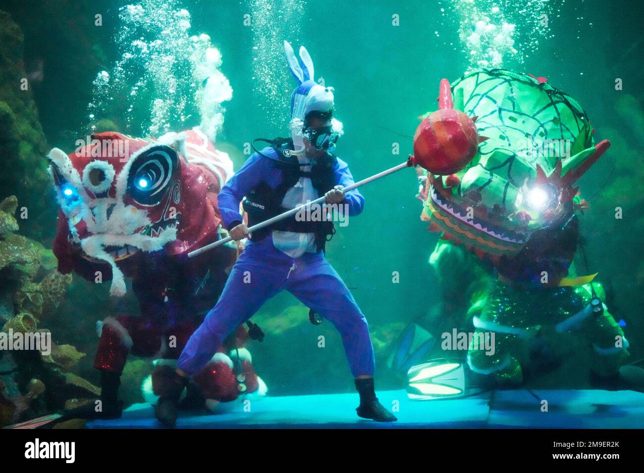 Divers wearing Chinese traditional dragon costumes perform an ...