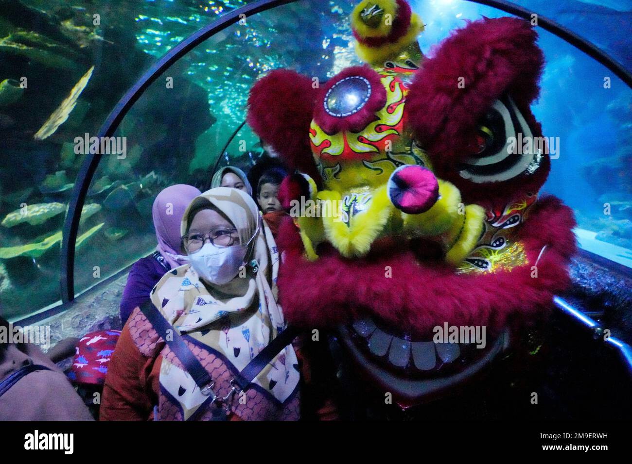 A woman poses with a traditional Chinese traditional Lion Dance ...