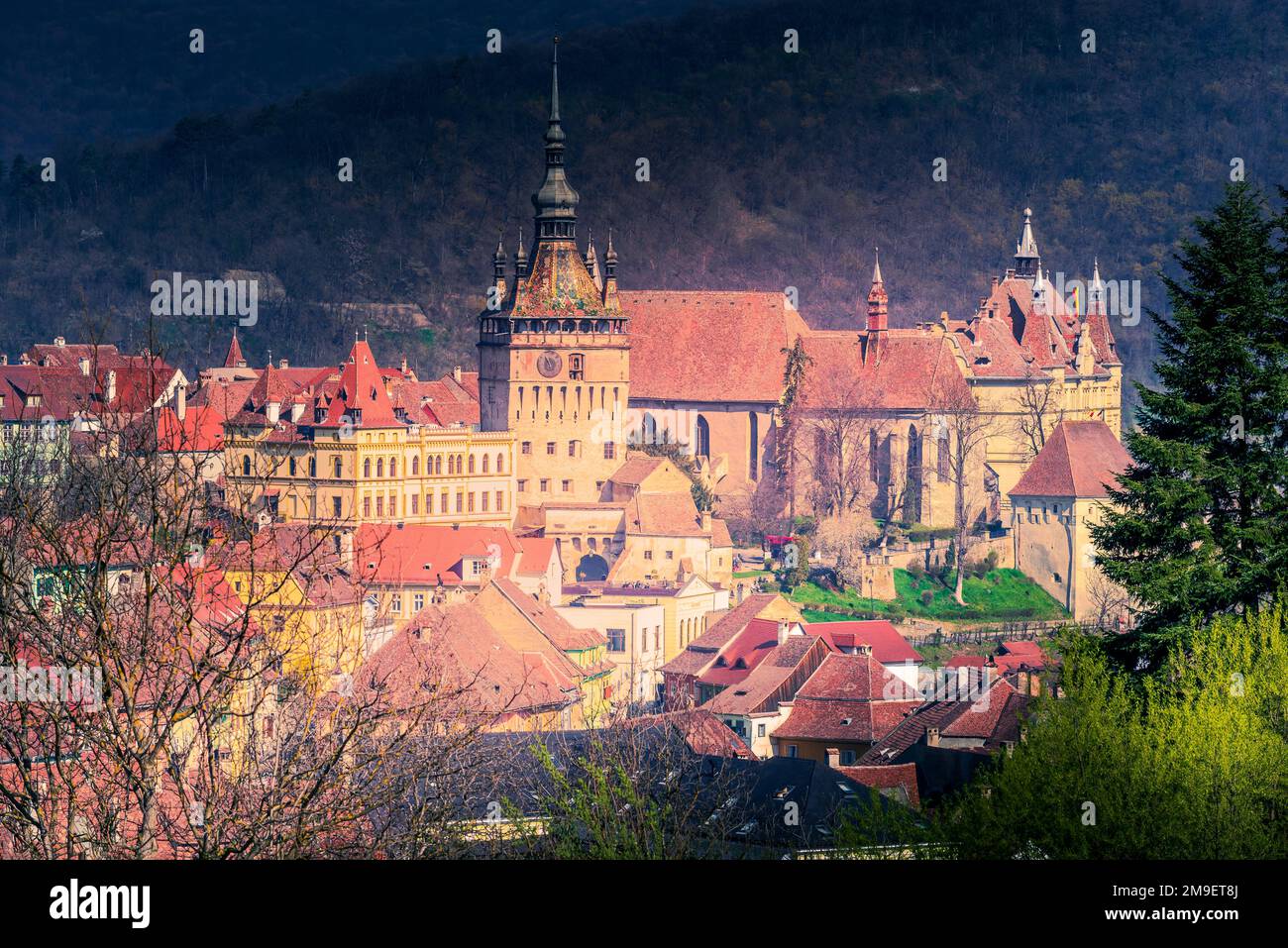 Sighisoara, Romania. Warm light over historical downtown, famous ...
