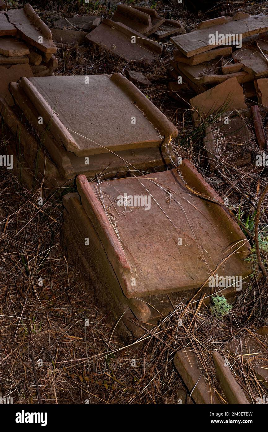 Velian tiles hi-res stock photography and images - Alamy