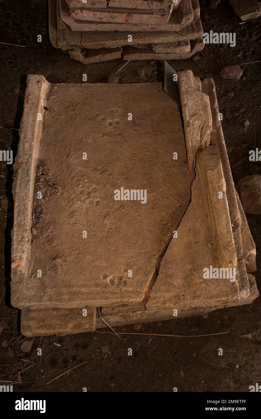 Velia tile hi-res stock photography and images - Alamy