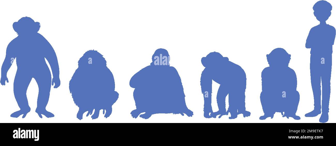 Five different types of great apes illustration Stock Vector Image ...
