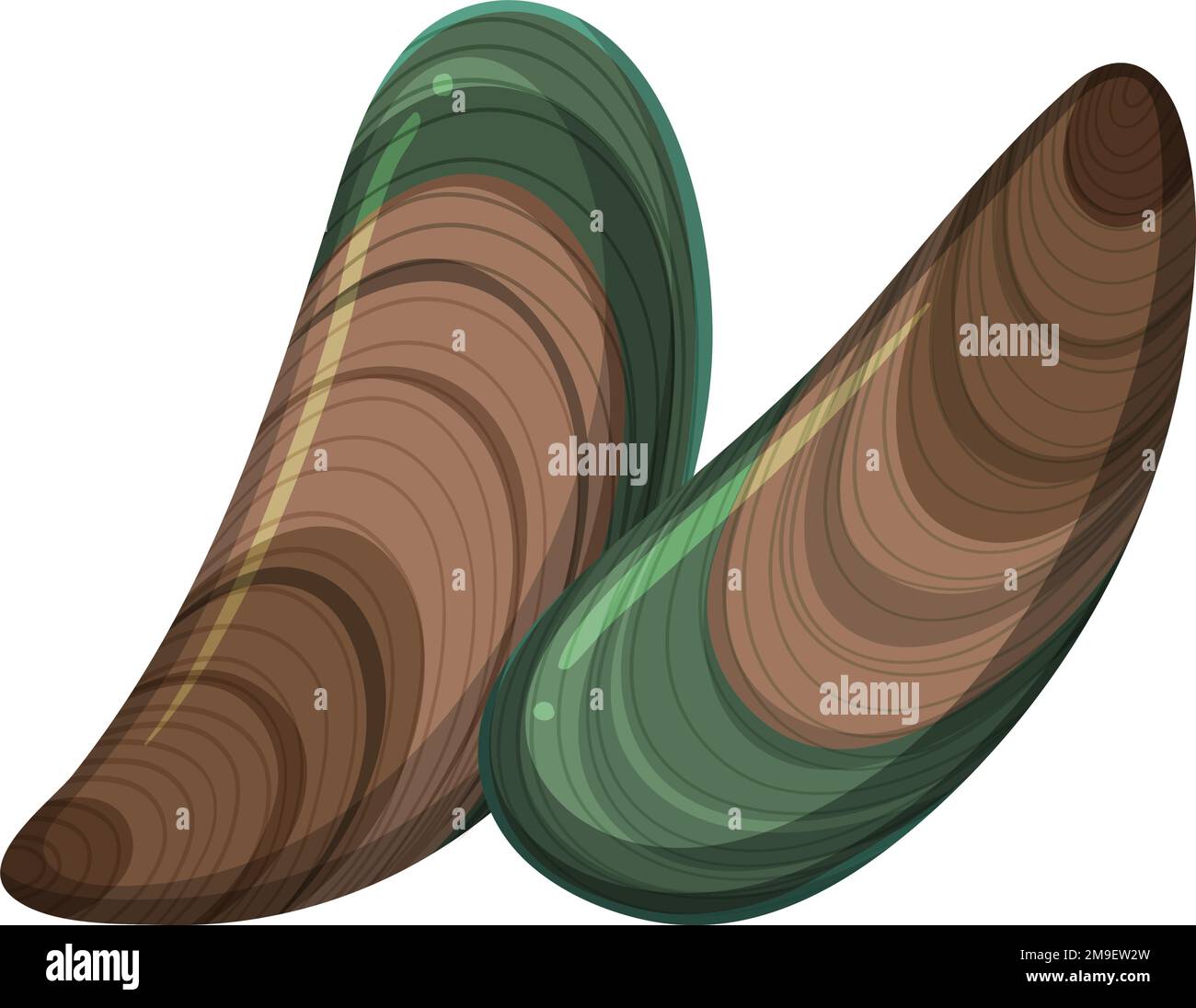 Isolated mussels seafood cartoon illustration Stock Vector Image & Art ...